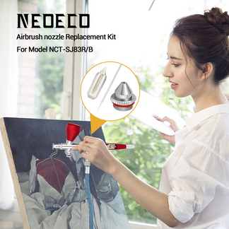 NEOECO Replacement Nozzle & Needle Tips Type 2 for Model NCT-SJ83 ...